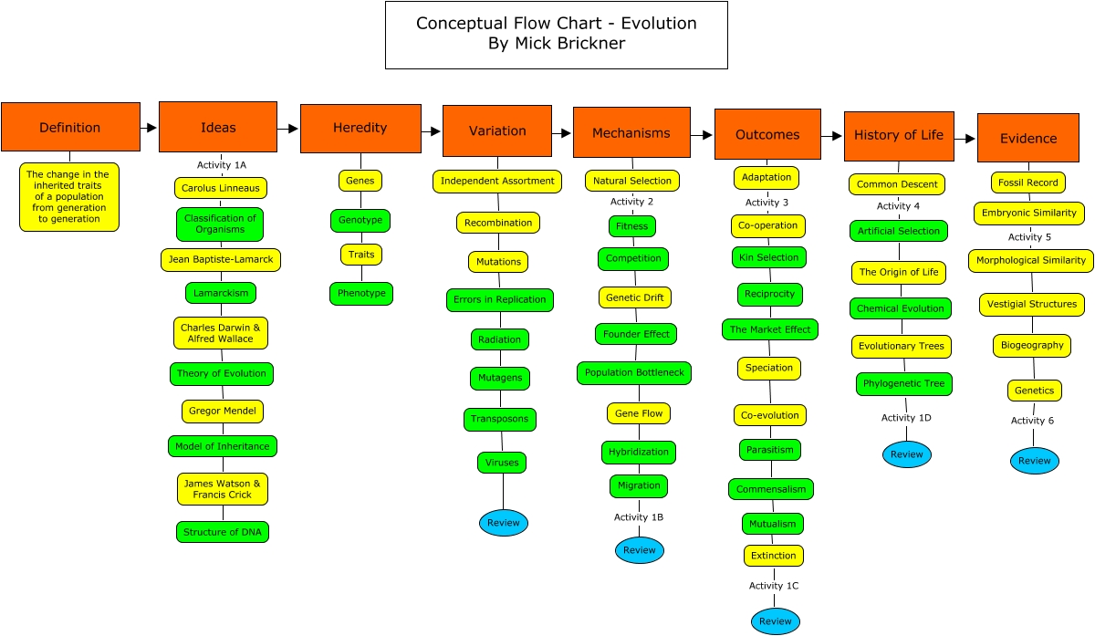 Evolution Conceptual Flow Chart